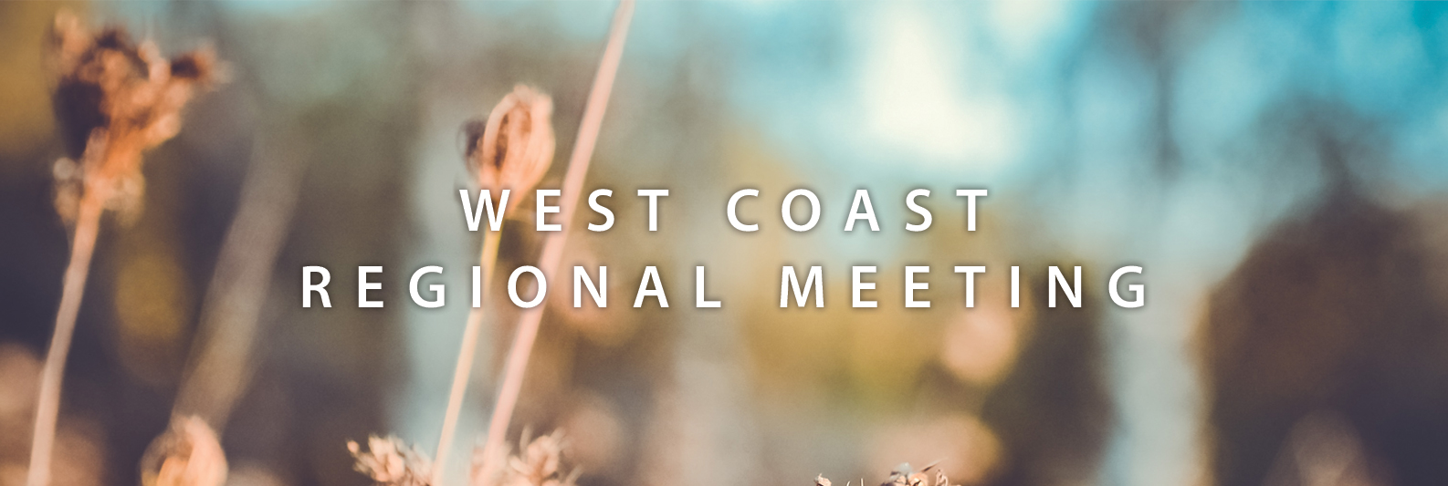 TTSGI Regional Meeting - Twinless Twins Support Group Intl.